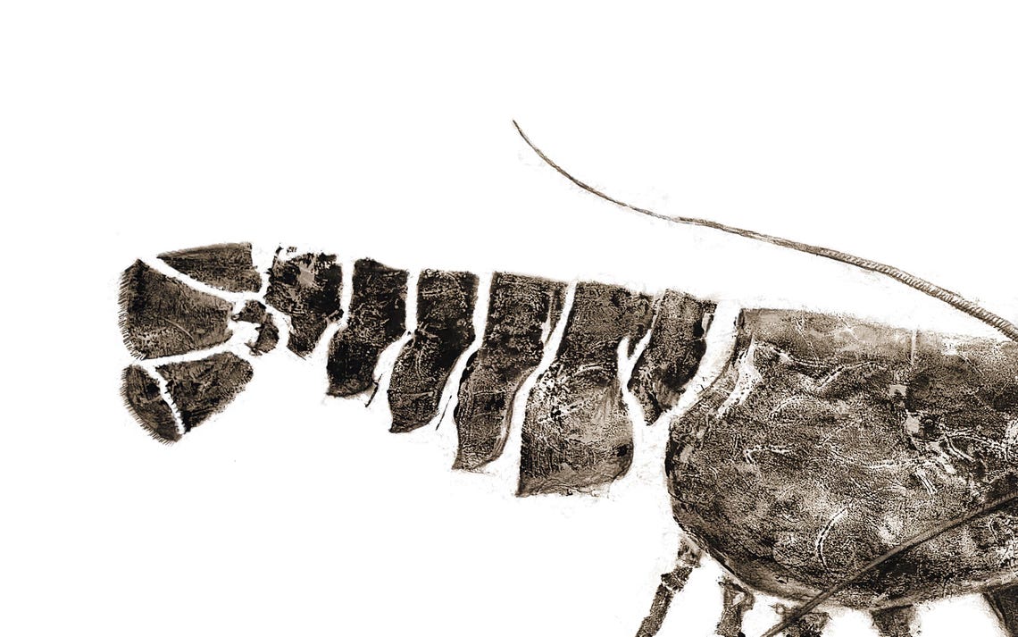 Walking Lobster Gyotaku Print - Etsy