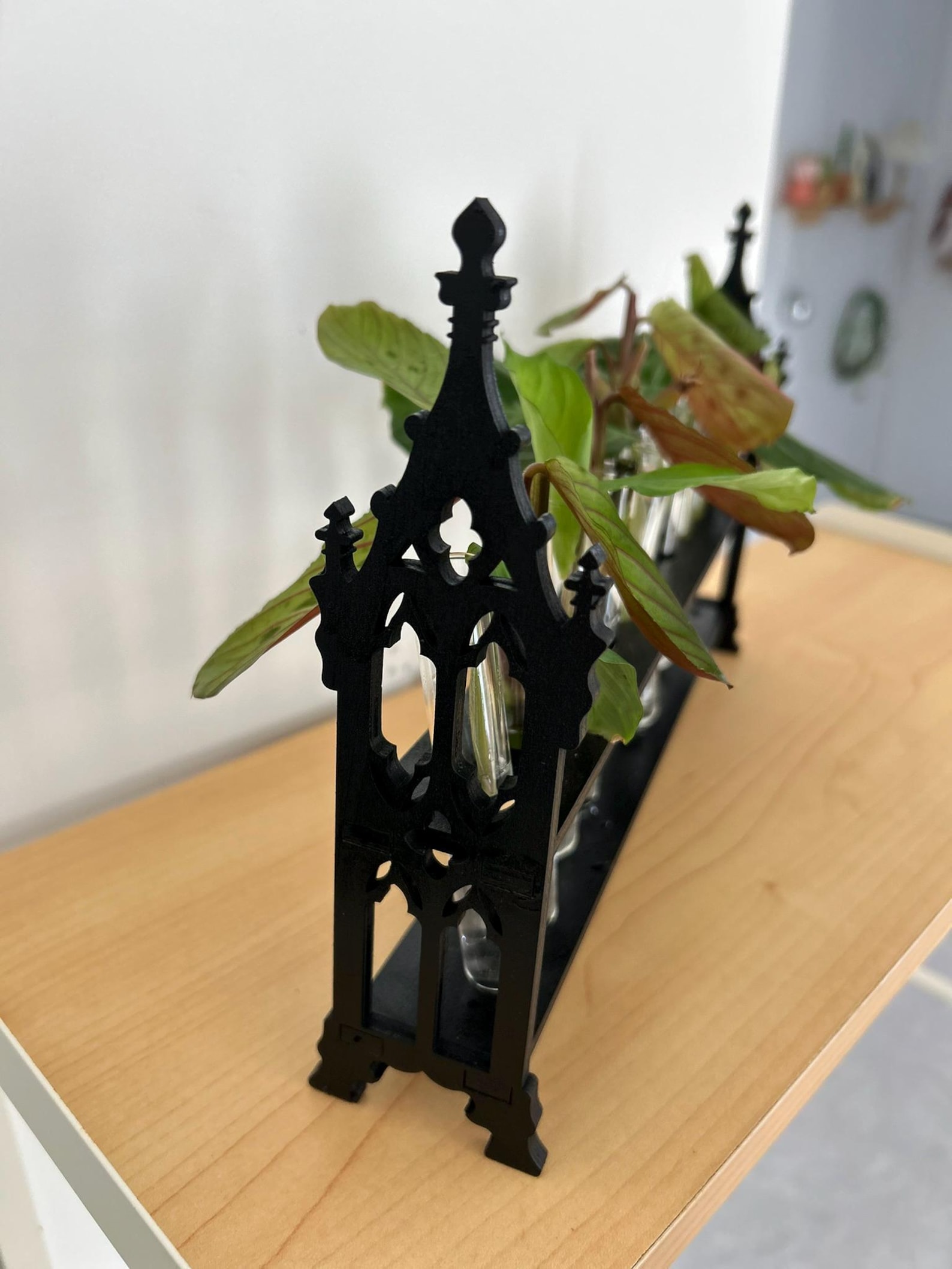Witchy Goth Hydroponic Plant Stand: Black Glass Vase Decor - Etsy