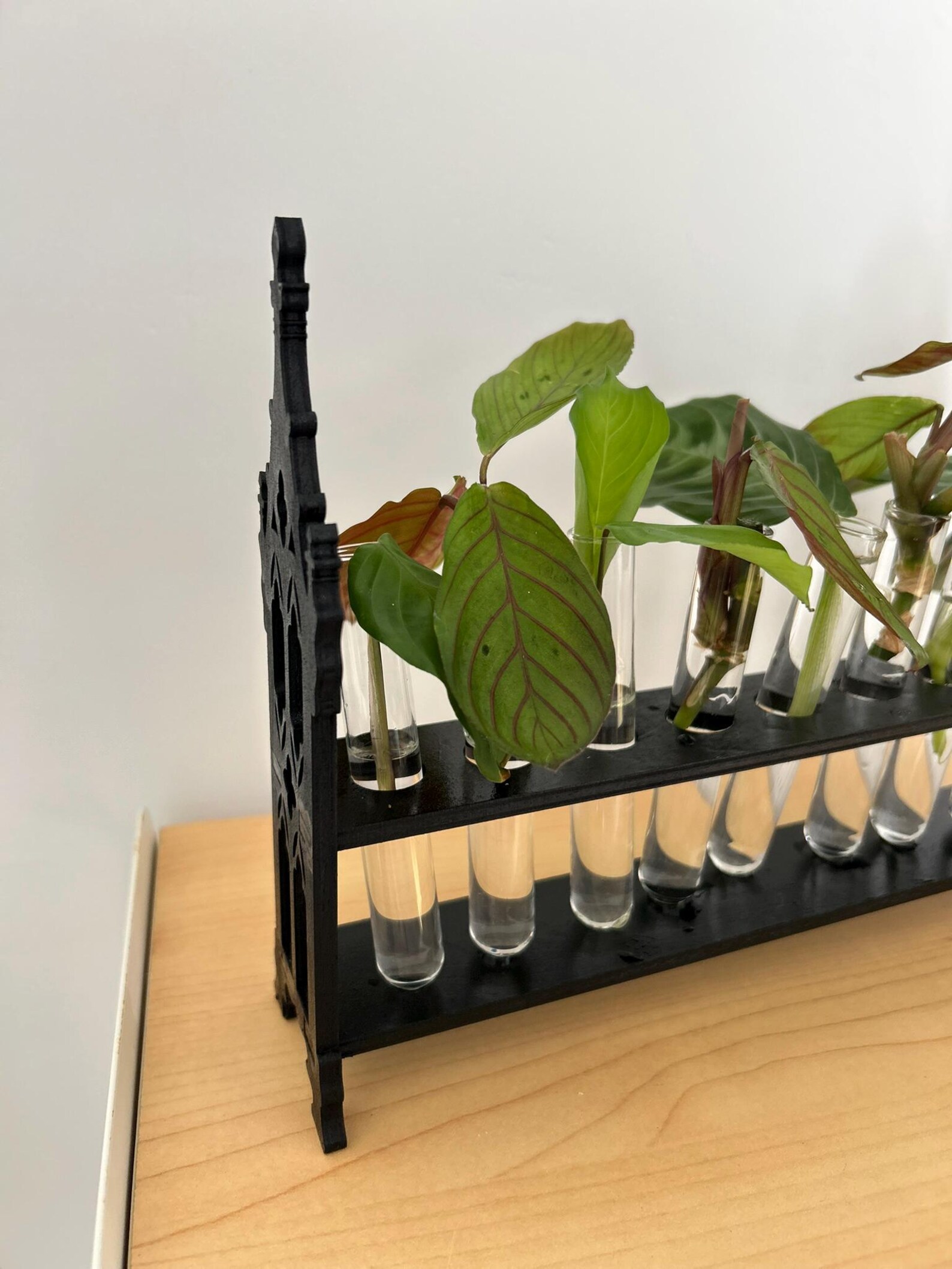 Witchy Goth Hydroponic Plant Stand: Black Glass Vase Decor - Etsy