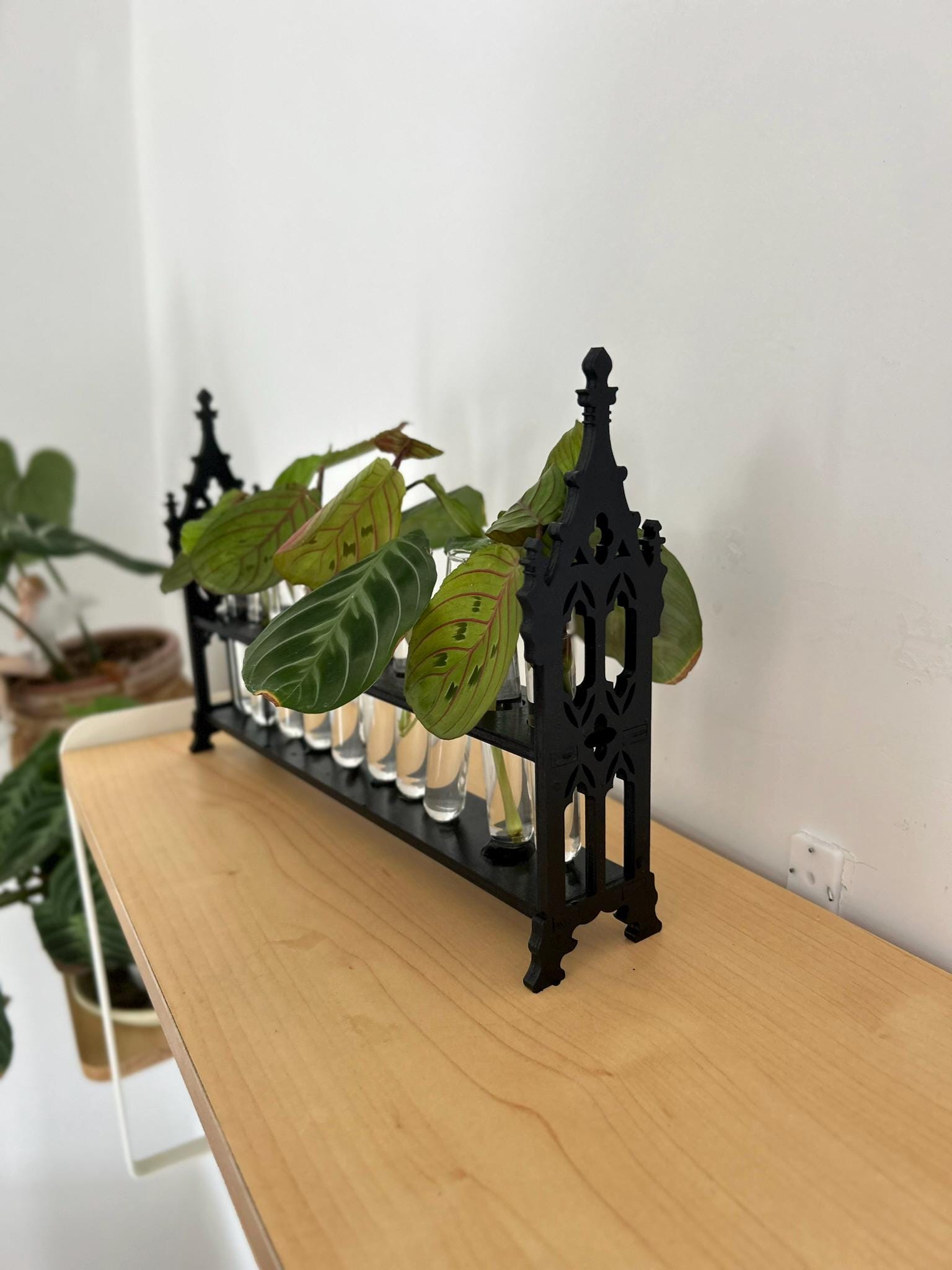 Witchy Goth Hydroponic Plant Stand: Black Glass Vase Decor - Etsy
