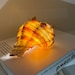 Bahamian Queen Conch Shell Light I Pink Conch Shell Night Light I SLIT ...