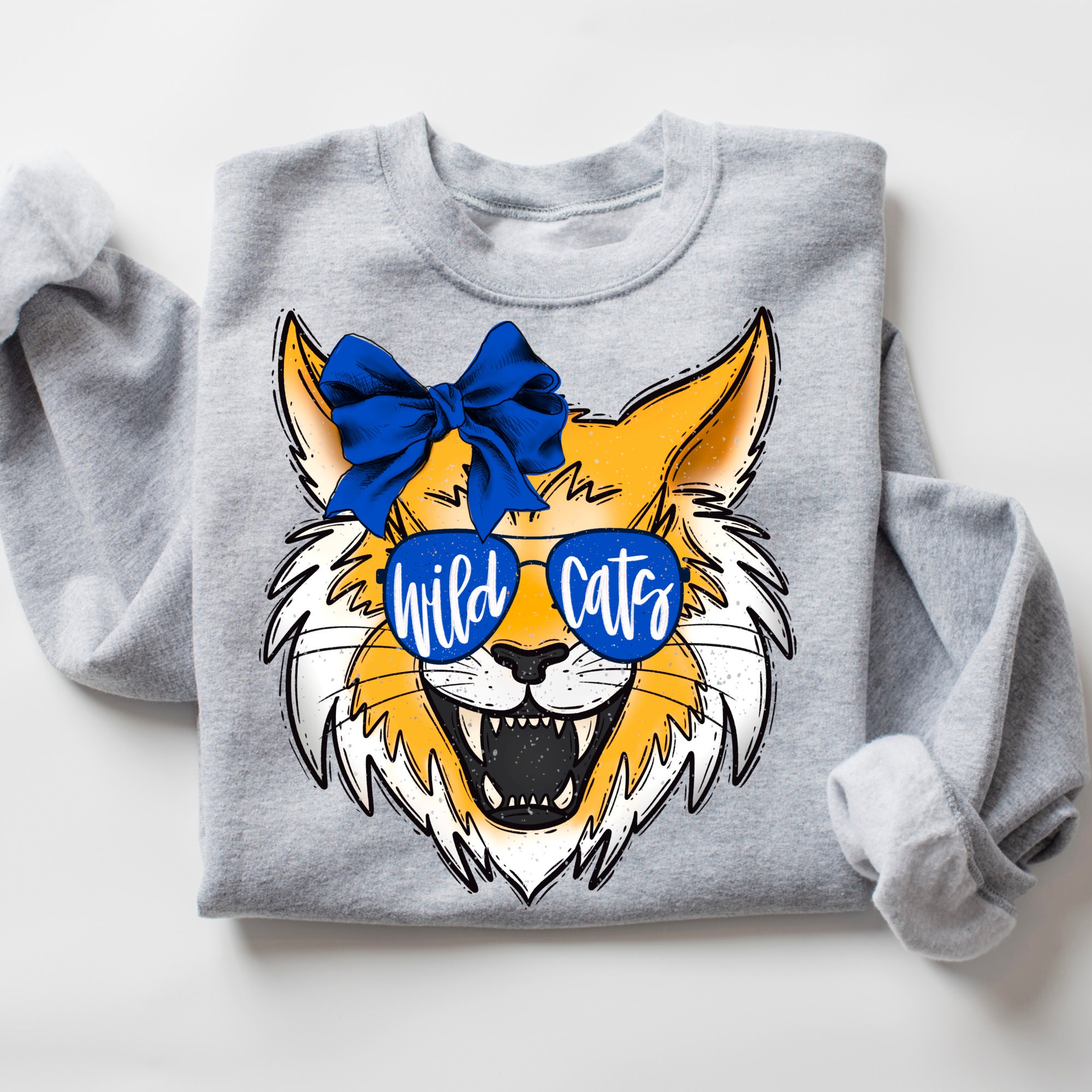 Wildcats High School Mascot, Wildcat Varsity Mascot 300 Dpi, Lion Png ...