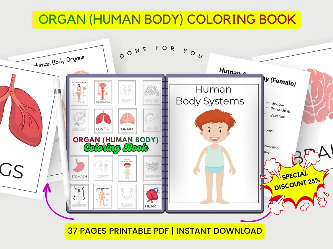 Human Body Organs Coloring Book | Anatomy Science Worksheets (PDF) - Etsy