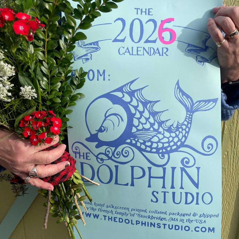 TheDolphinStudio - Etsy