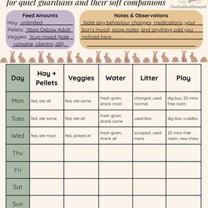 Printable Bunny Care Log | Rabbit Feeding, Litter, Enrichment Tracker ...