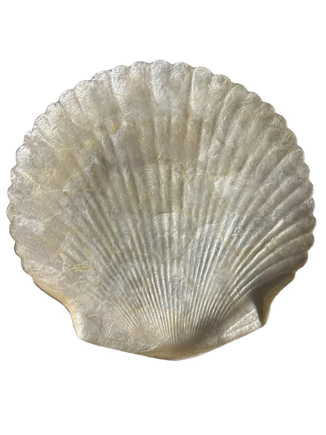 Capiz Dish Scalloped Clam Shape Oyster Shell Trinket Jewelry Tray Ivory ...