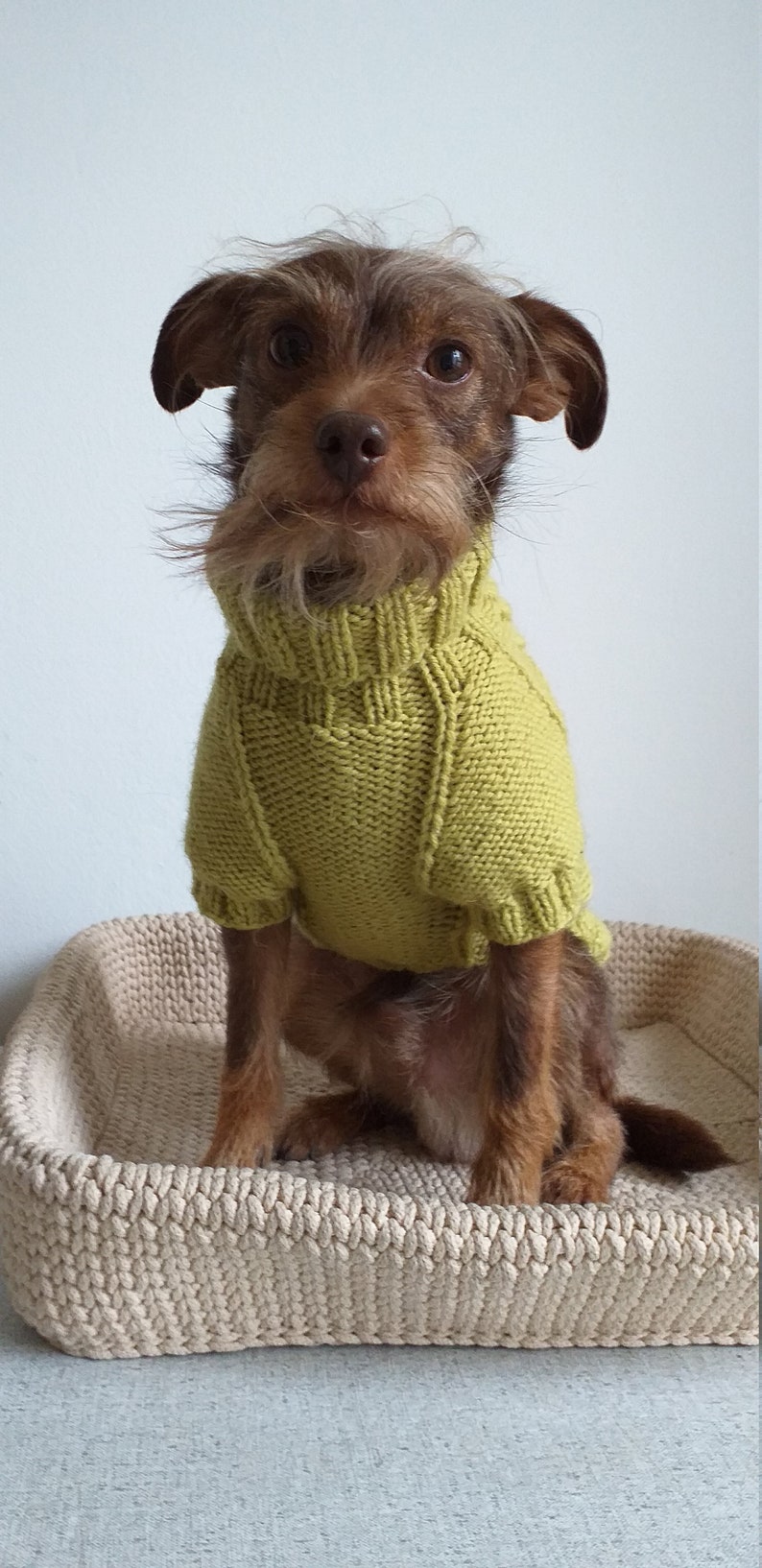 Suéter de perro tejido a mano en mezcla de lana para perro | Etsy