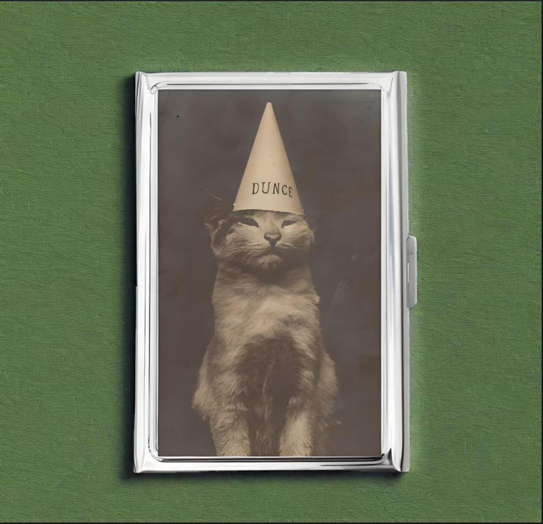 Dunce Cat Cigarette Case or Card Holder, Funny Cat Art, Vintage Cat ...