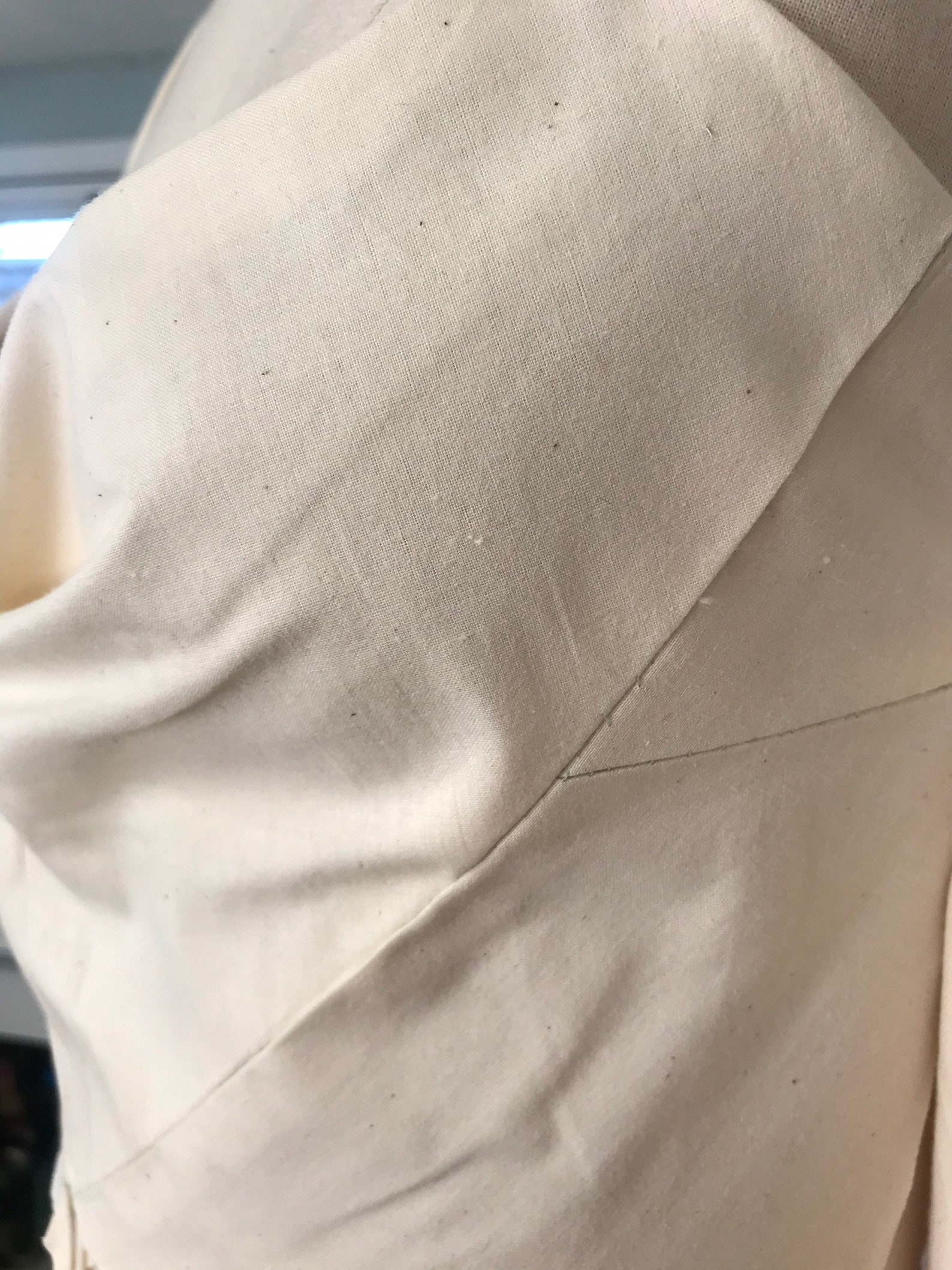 Toile Muslin Test Garment Try on at Home - Etsy