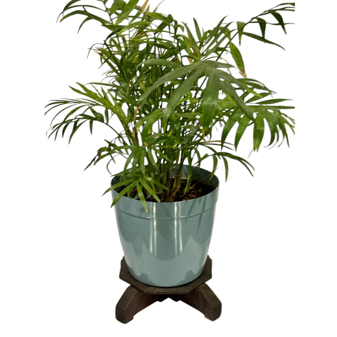 Handmade Dark Wood Footed Octagon Plant Riser - Etsy