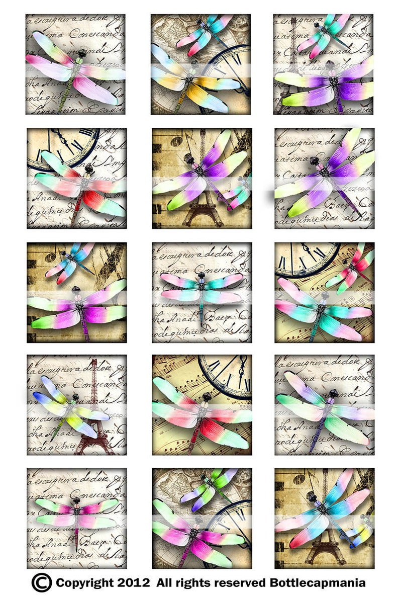 INSTANT DOWNLOAD Colorful Dragonflies 498 4x6 Digital | Etsy