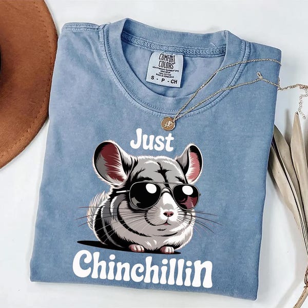 Chinchilla Costume - Etsy