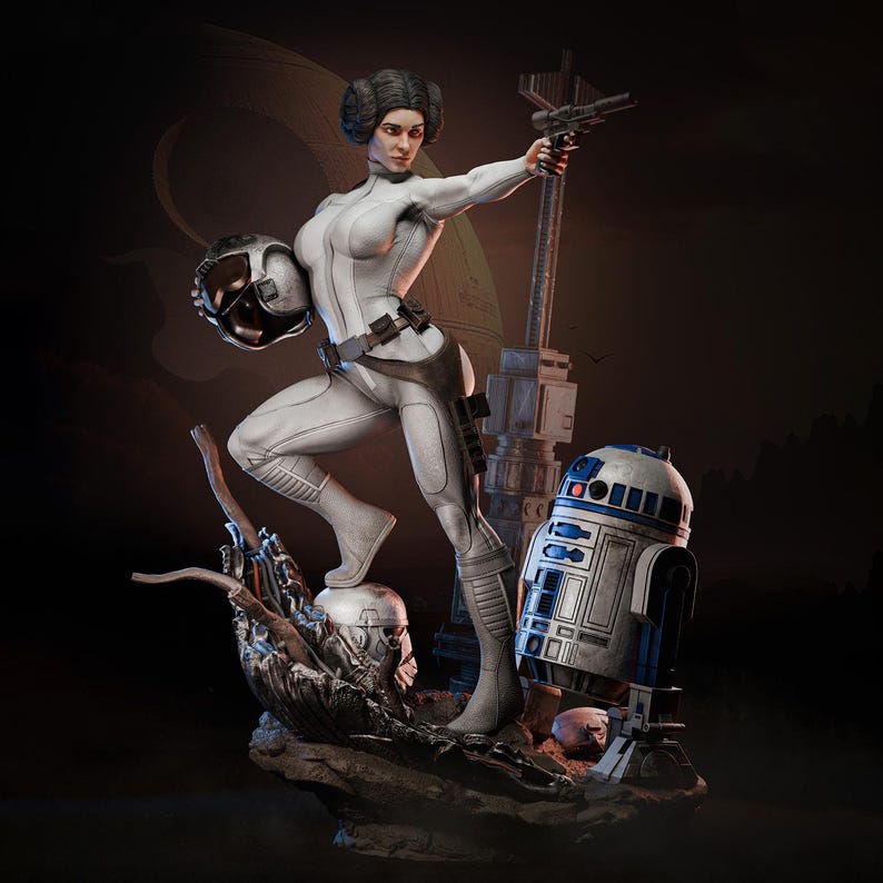 Leia STL 3D Print Model | 1:6 Scale (fullsize + Bust) - Etsy
