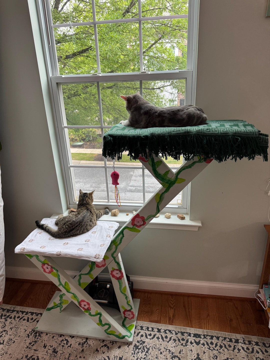 Alexander Cat Lounger - Etsy