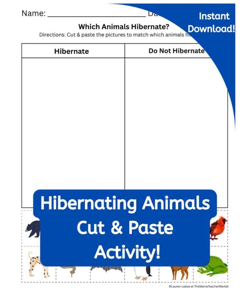 Hibernating Animals Cut & Paste Activity | Winter Science (PDF) - Etsy