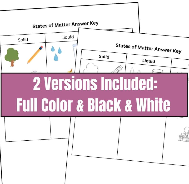 States of Matter Cut & Sort Worksheet – Science STEM (PDF) - Etsy