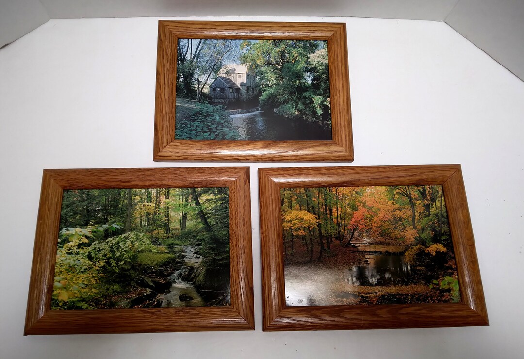 Group of 3 Solid Oak Frames With Nature Photos, Wall Decor, Nature ...
