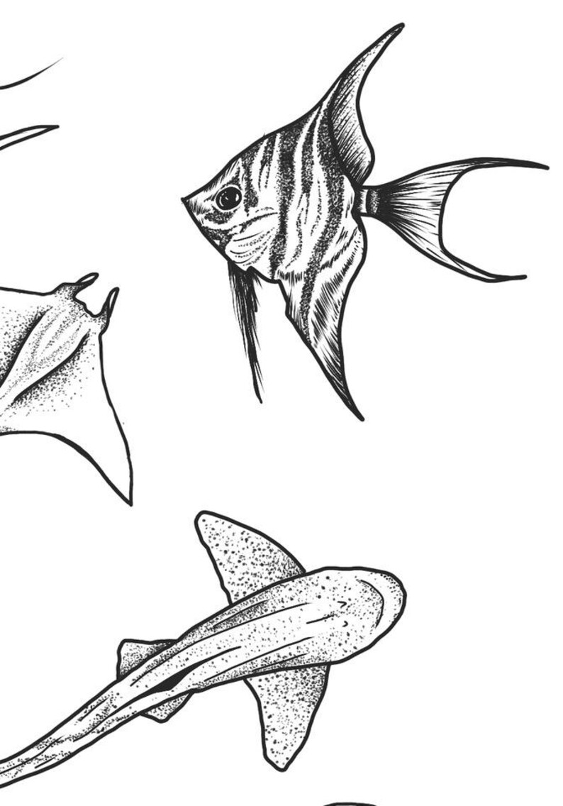 Sea Life Hand Drawn Print - Etsy