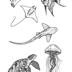Sea Life Hand Drawn Print - Etsy