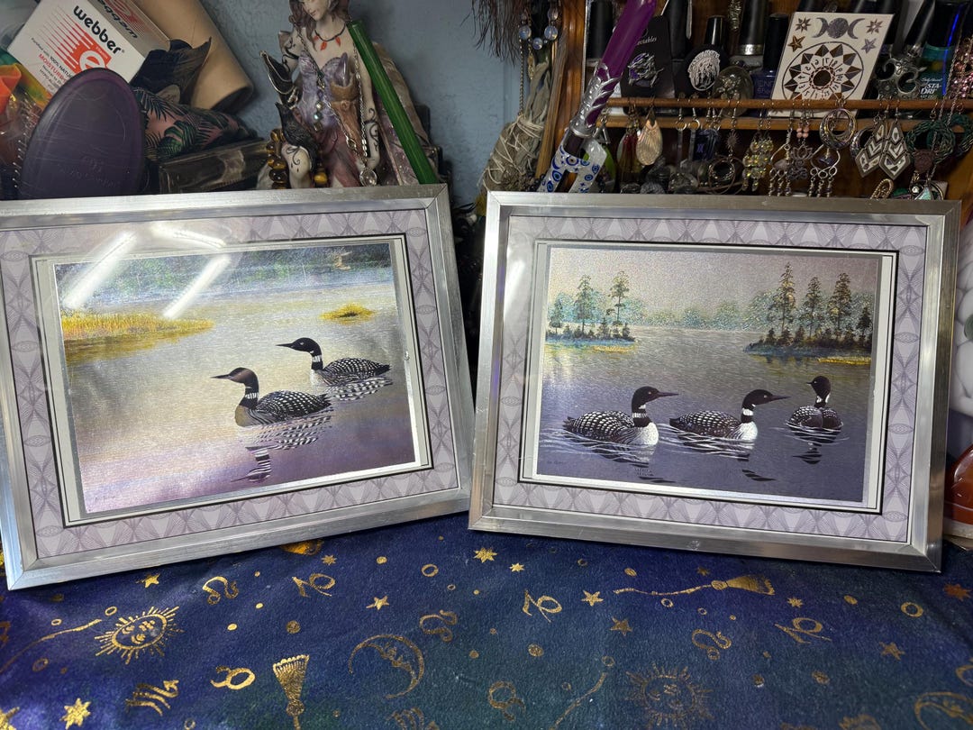Vintage Loons Duck Picture Frame Silver Artist Alan Fairbrass - Etsy
