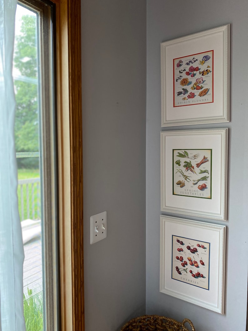 Swiss Cheeses - Cook's Illustrated Back Cover - Etsy