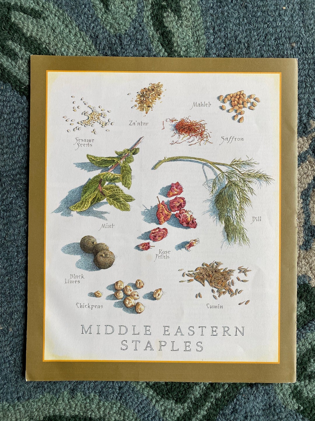 Middle Eastern Staples - Cook's Illustrated Back Cover - Etsy