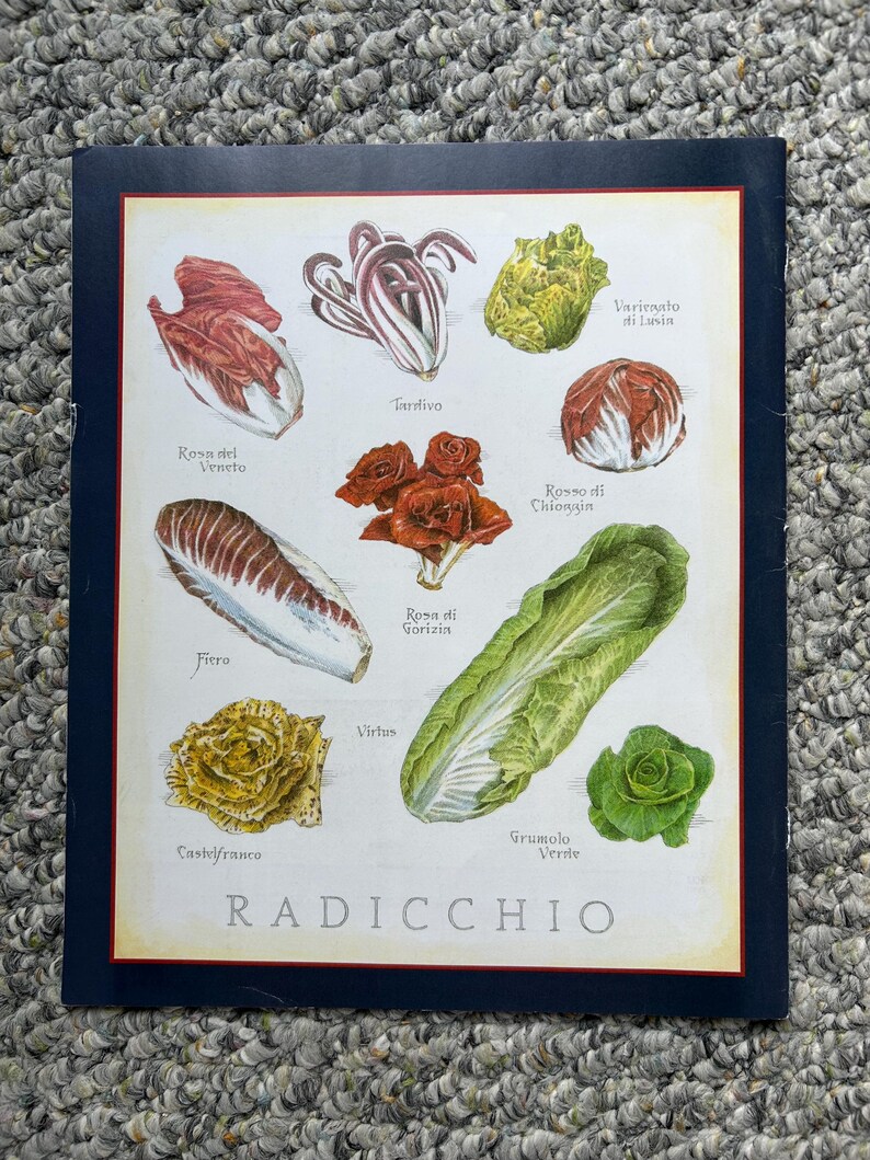Raddichio - Cook's Illustrated Back Cover - Etsy
