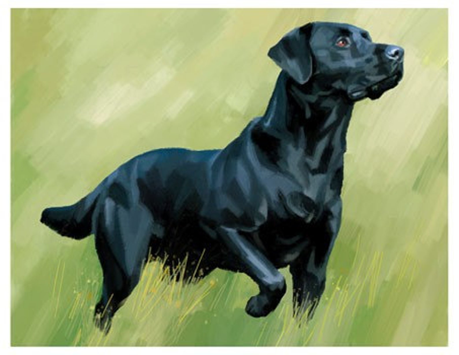 Avald Black Labrador Retriever Lab Art Print Dog - Etsy