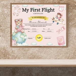 Cute Pink My First Flight Certificate Template, Baby's Very 1st Flight ...