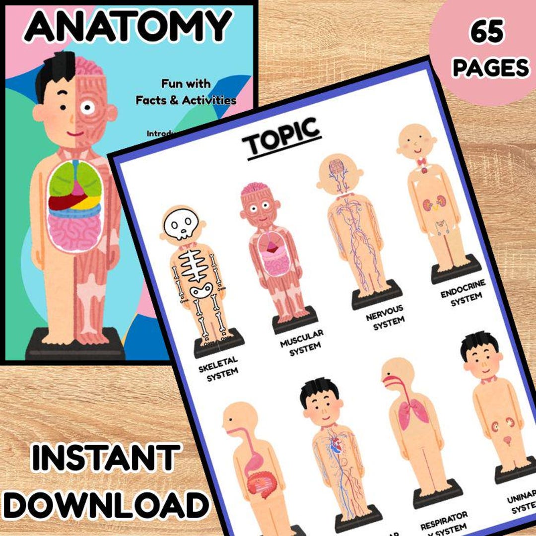 Human Anatomy Activity Book for Kids: Fun Science Learning - Etsy