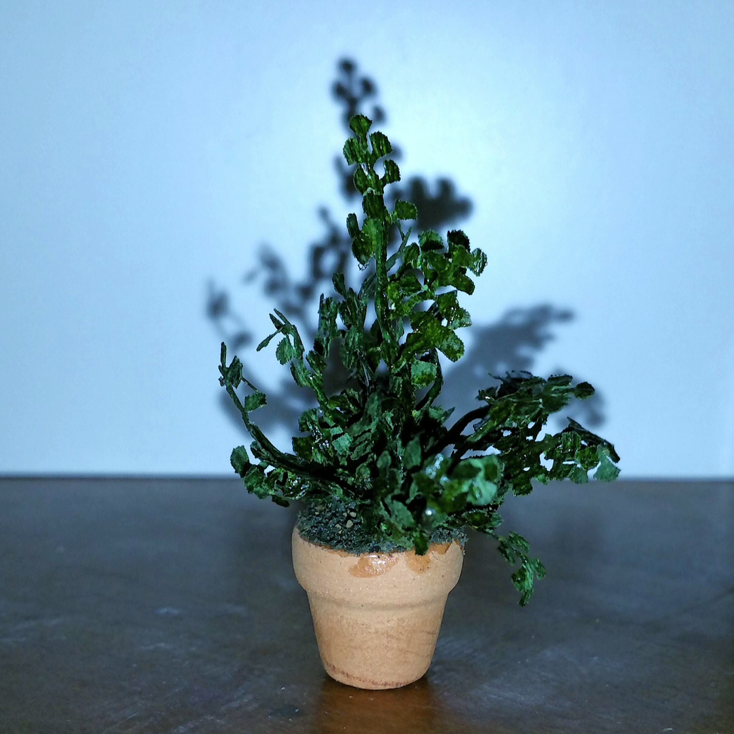 One Inch Scale Fan Fern in a Terra Cotta Pot - Etsy