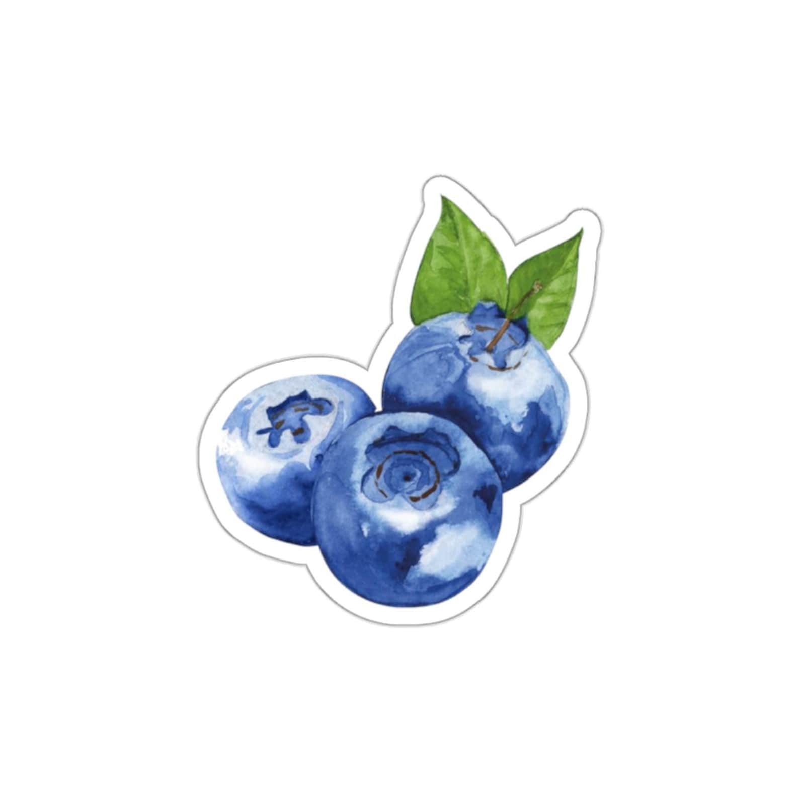 Blueberry Watercolor Vinyl Stickers | Die-cut Stickers | Cute Blueberry ...