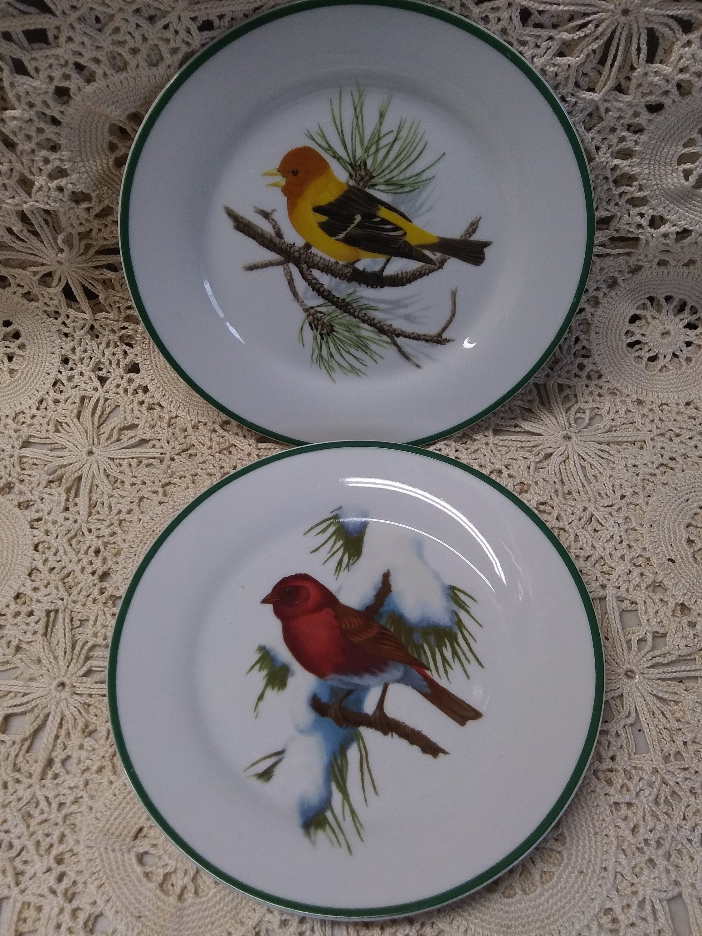 Vintage National Wildlife Bird Plate Set 2 - Etsy
