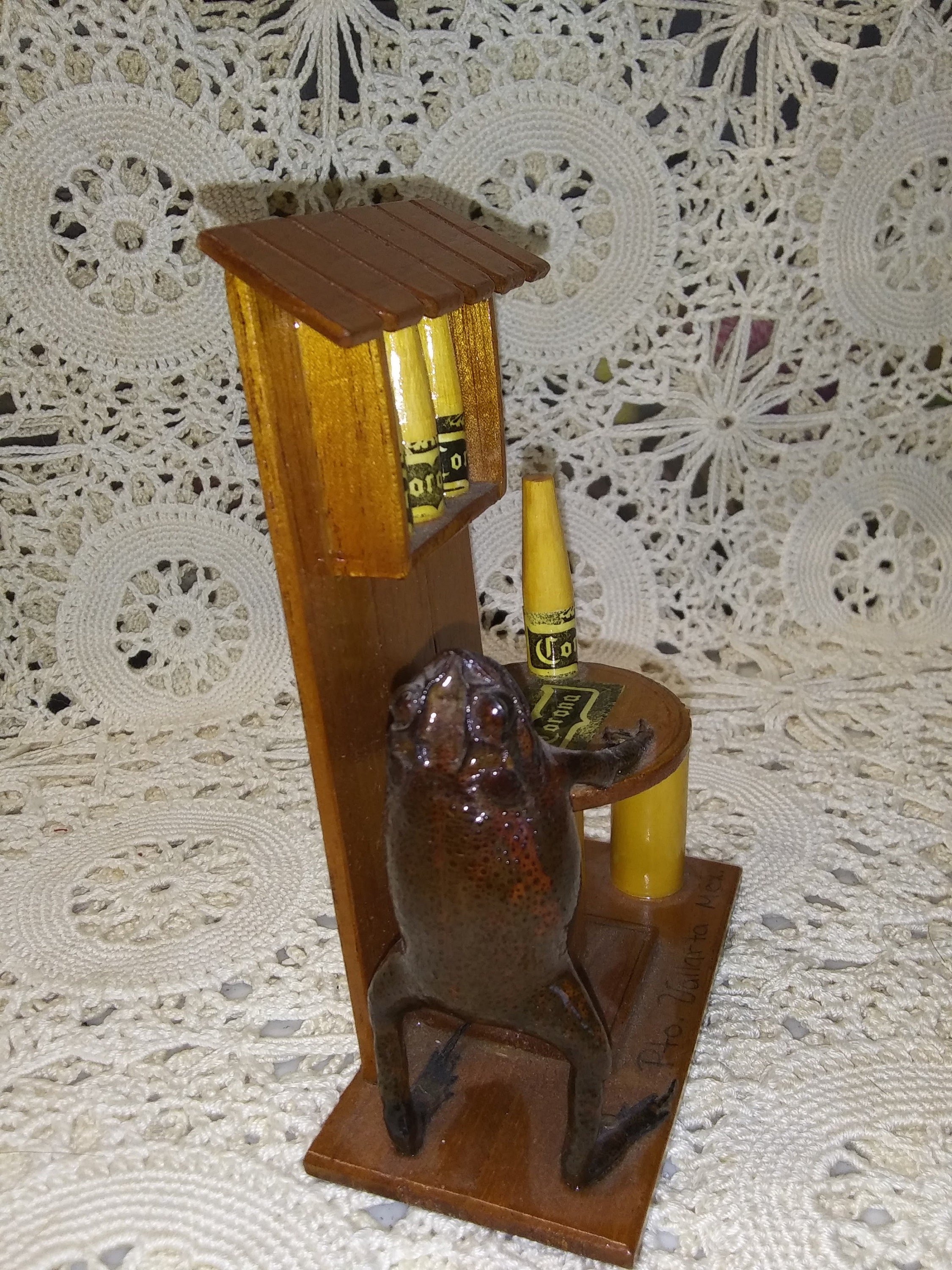 Vintage Taxidermy Cane Toad at Corona Beer Bar - Etsy