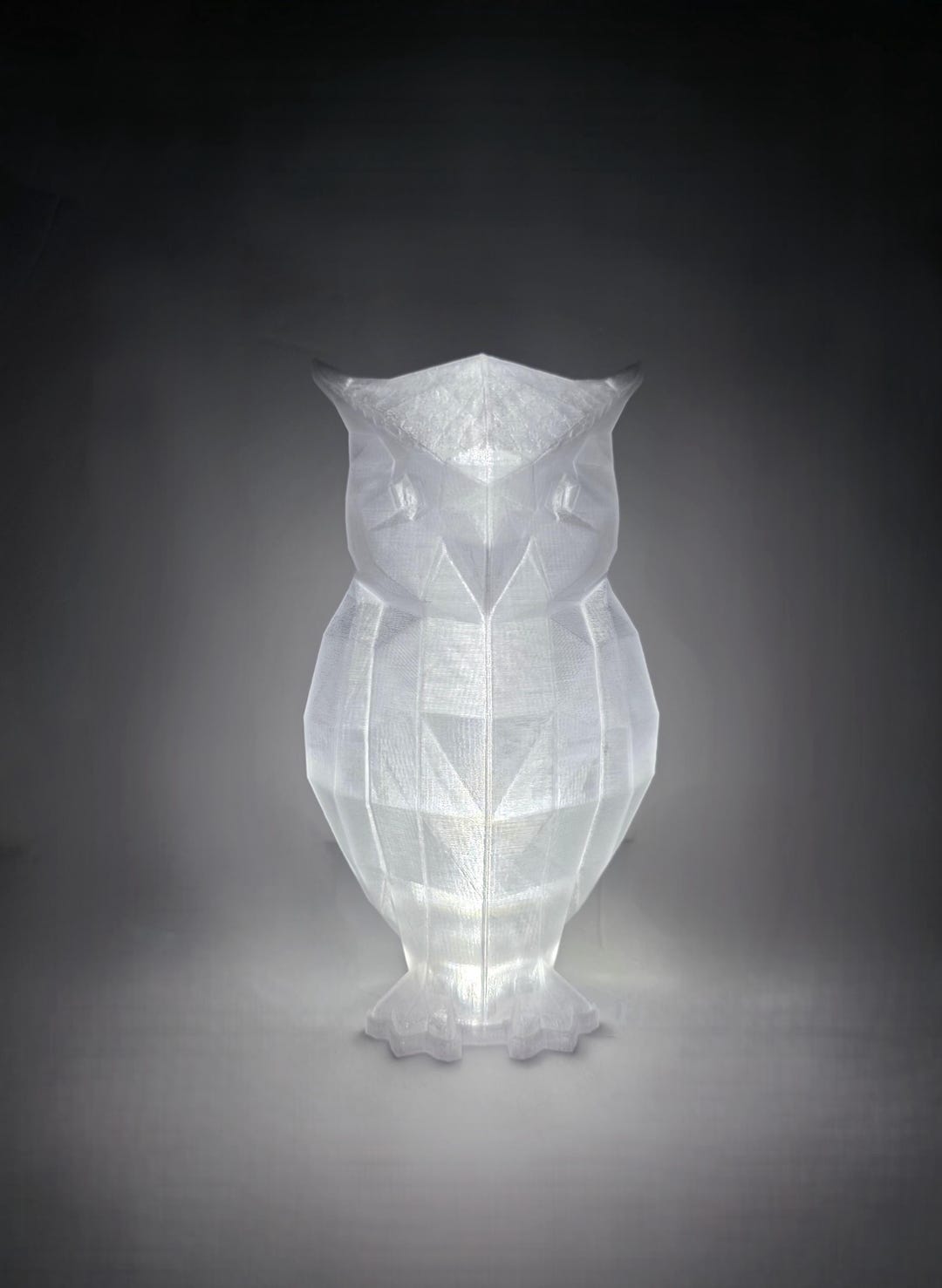 3D Printed Color Changing Owl Shaped Poly Light With Remote - Etsy