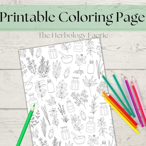 Beginners Tea Guide Ebook PDF by the Herbology Faerie Digital Download ...