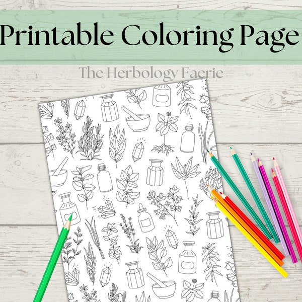 Beginners Tea Guide Ebook PDF by the Herbology Faerie Digital Download ...