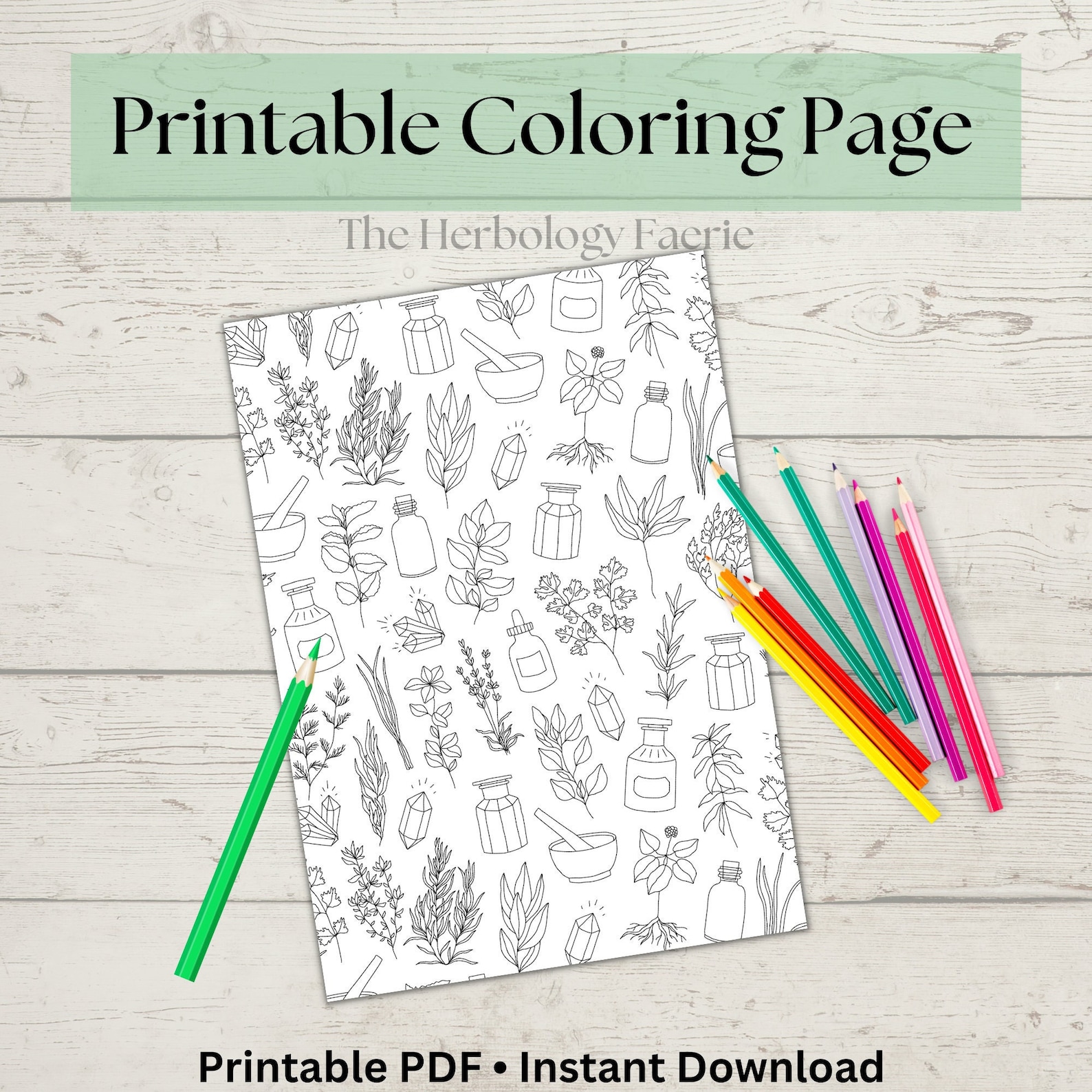 Printable Coloring Page | Herbalism Coloring Page | Adult Coloring Page ...