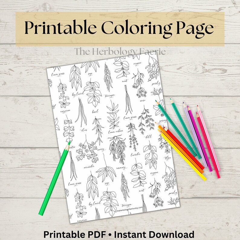 Adult Coloring Page PDF | Herb Garden Coloring Page | Printable ...