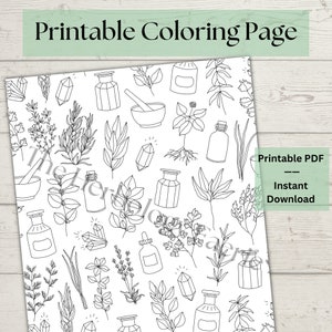 Printable Coloring Page | Herbalism Coloring Page | Adult Coloring Page ...