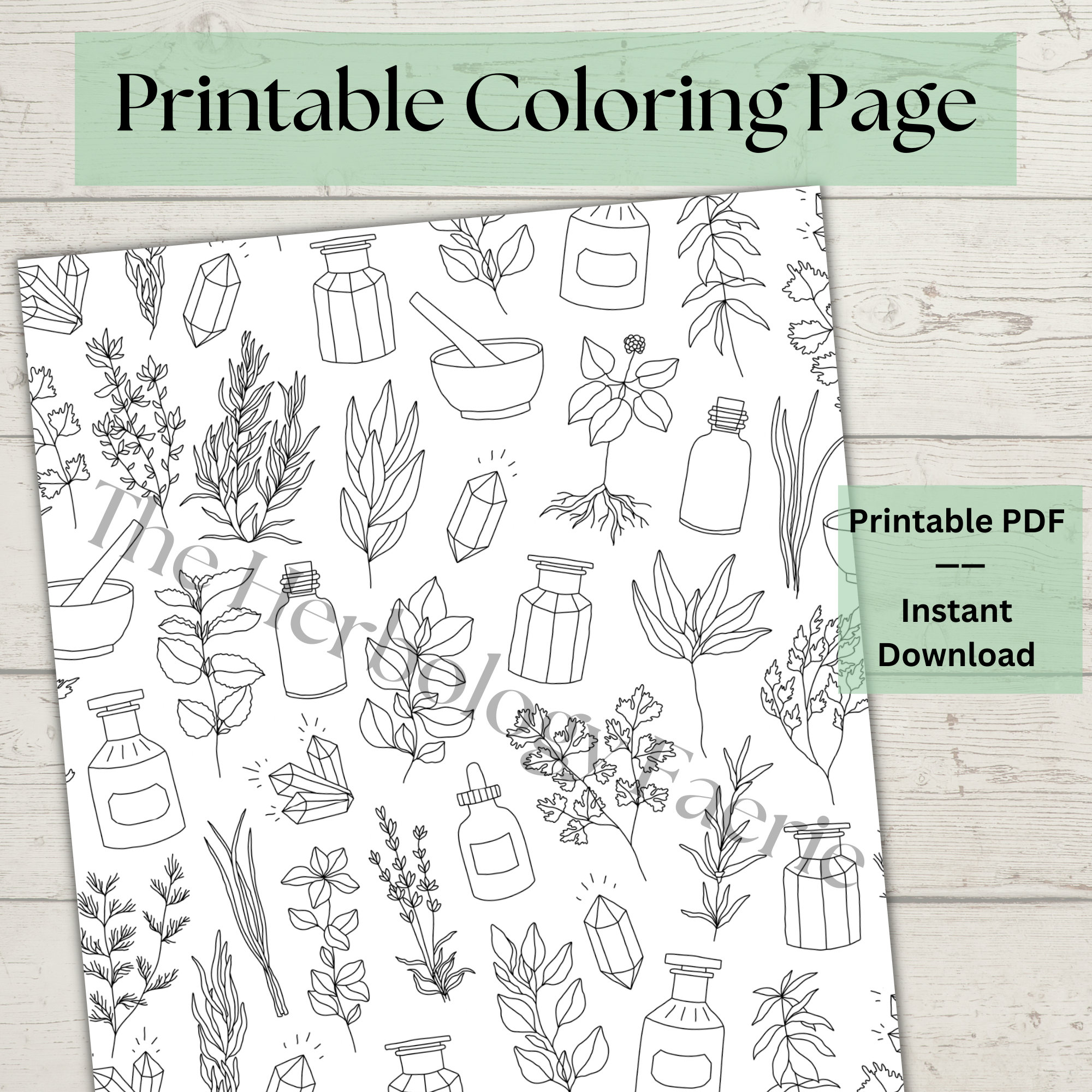 Printable Coloring Page | Herbalism Coloring Page | Adult Coloring Page ...