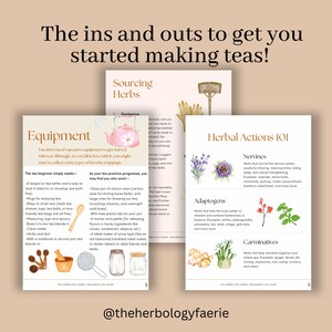 Beginner’s Tea Guide | Ebook PDF | by the Herbology Faerie | Digital ...