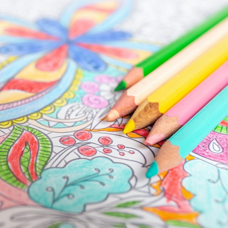 Animal Coloring Book for Kids | 15 Printable Pages (PDF Download) - Etsy
