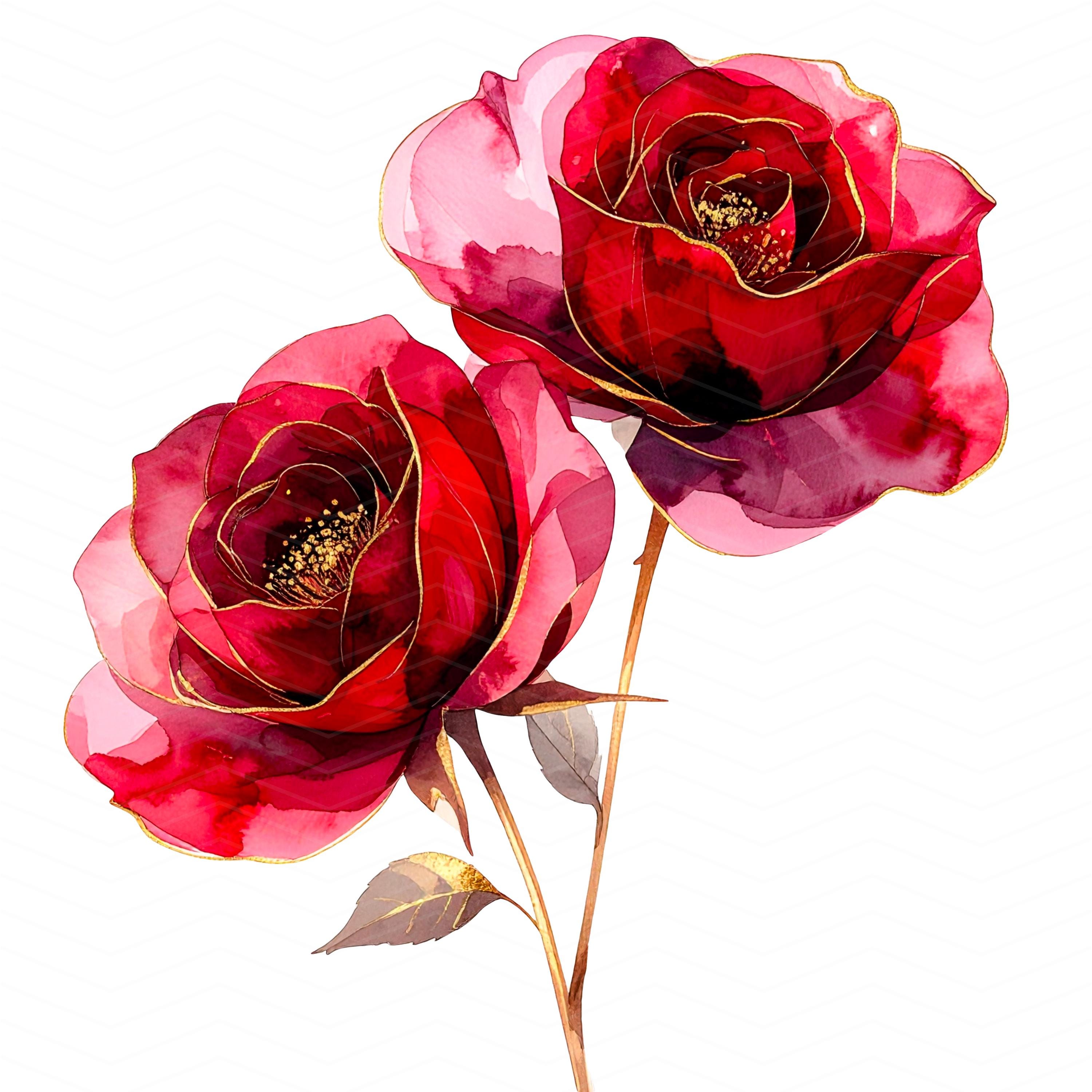 Abstract Red & Gold Rose Clipart Set, Luxury Floral PNG JPG, Watercolor ...