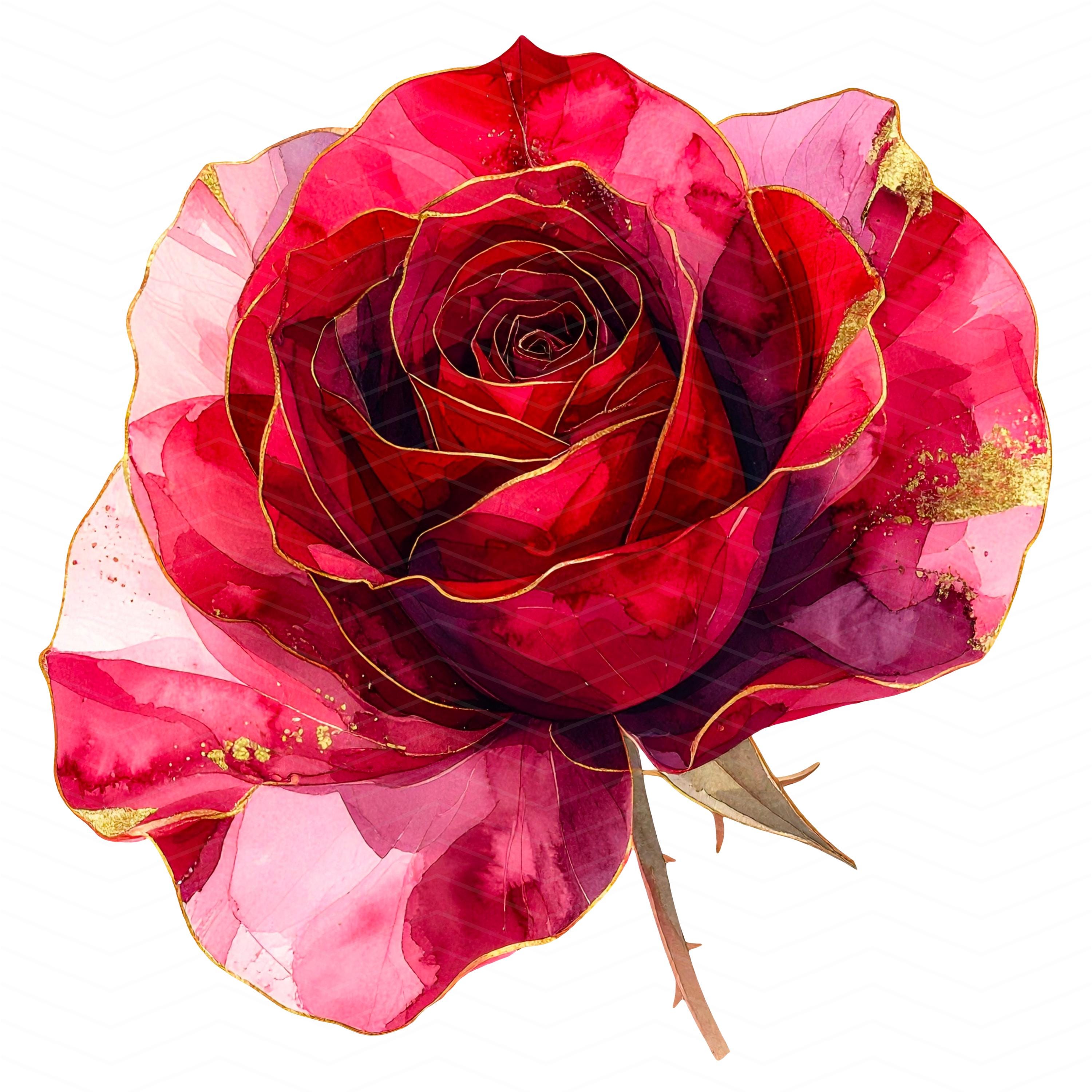 Abstract Red & Gold Rose Clipart Set, Luxury Floral PNG JPG, Watercolor ...
