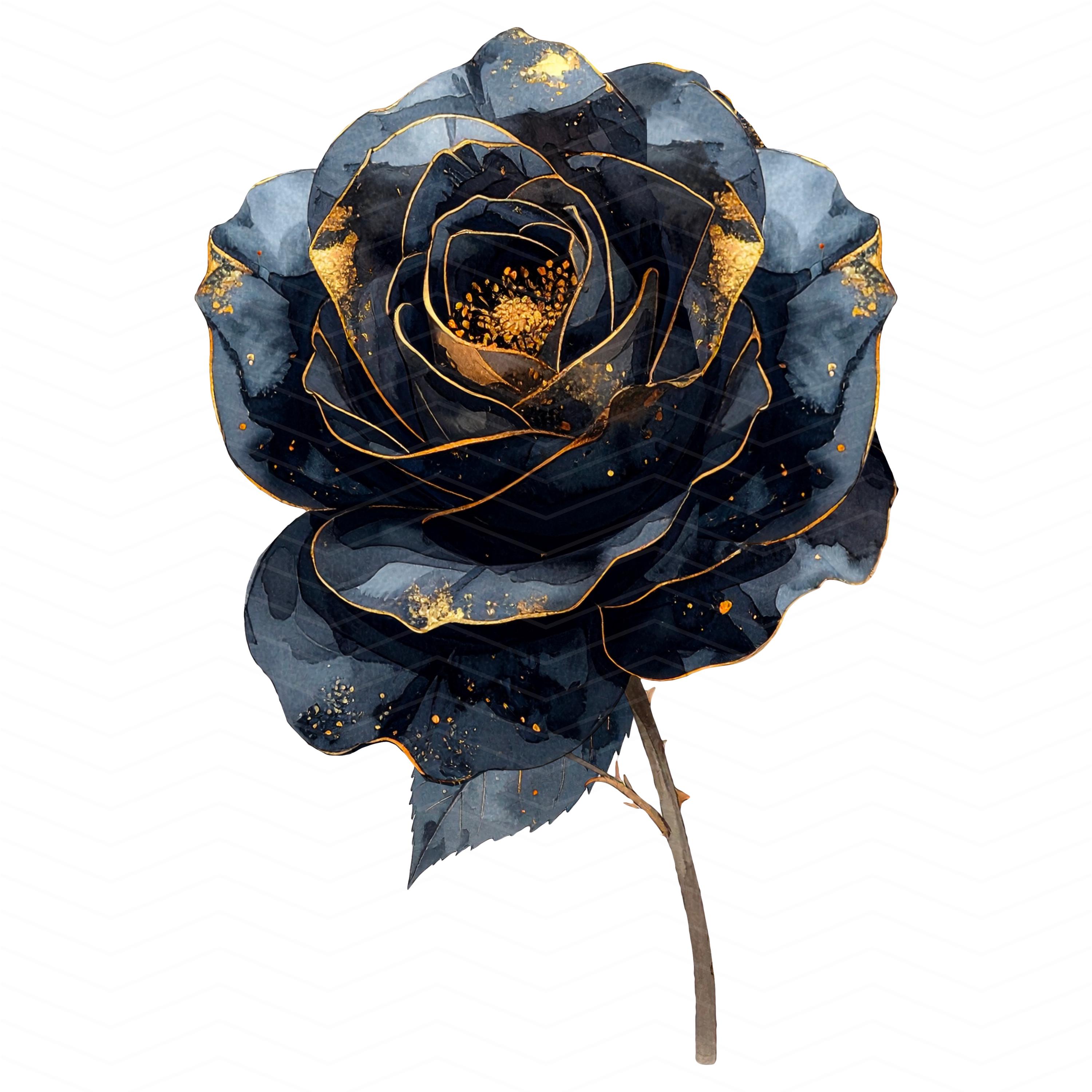 11 Black & Gold Rose Clipart Luxury Abstract Floral PNG and JPG , Dark ...