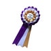 Suffragette Suffragist VOTES FOR WOMEN Sash Rosette Hand Sign - Etsy