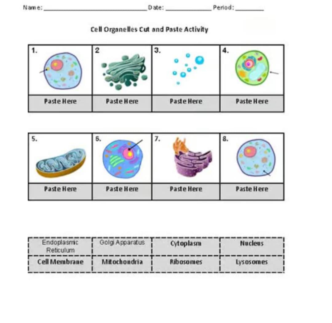 Cell Organelle Cut and Paste Activity - Etsy