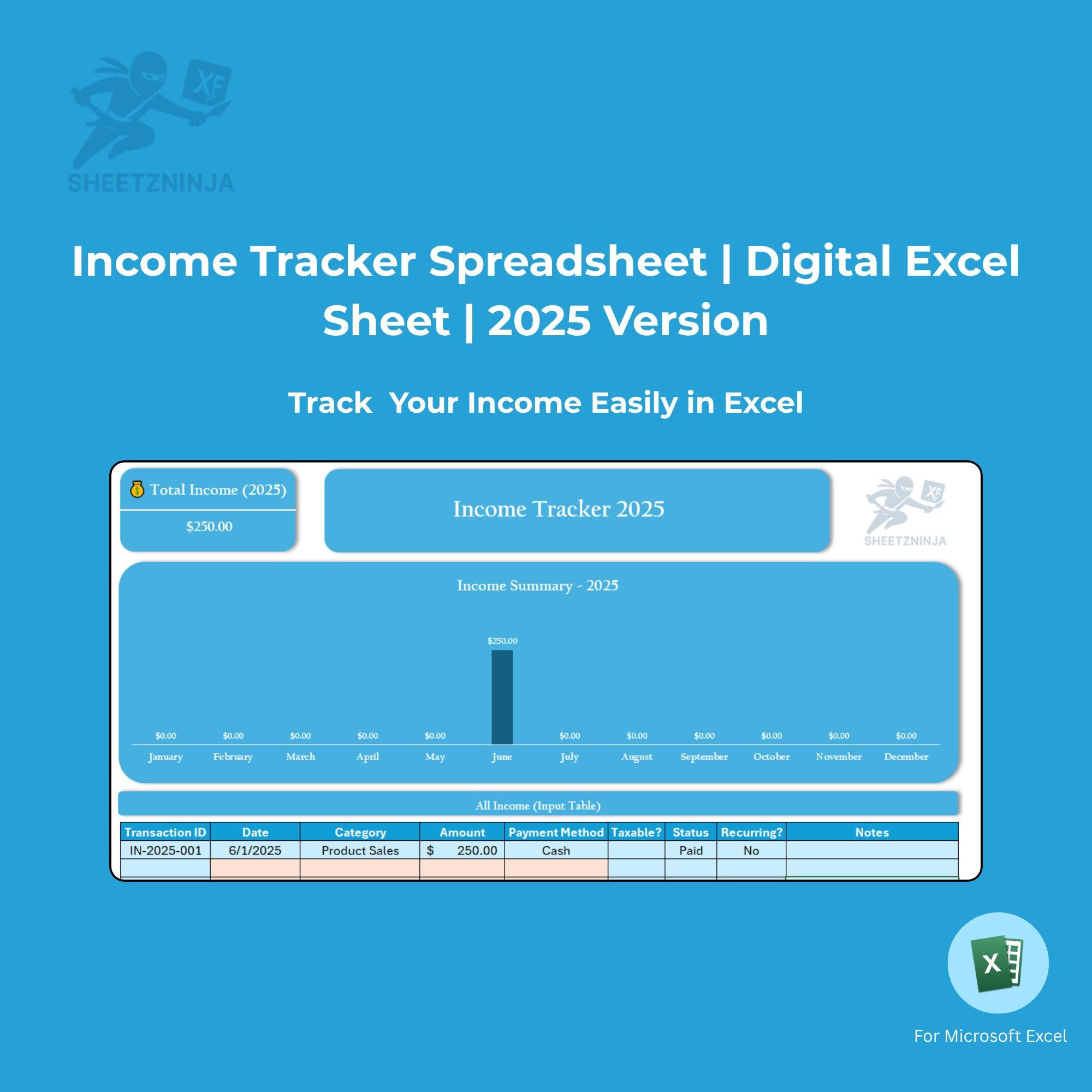 Income Tracker Spreadsheet | Excel Digital Budget Sheet 2025 | Monthly ...