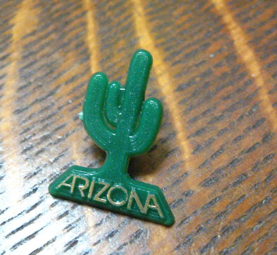 Arizona Cactus Middle Finger FU Vintage Lapel Pin - Etsy